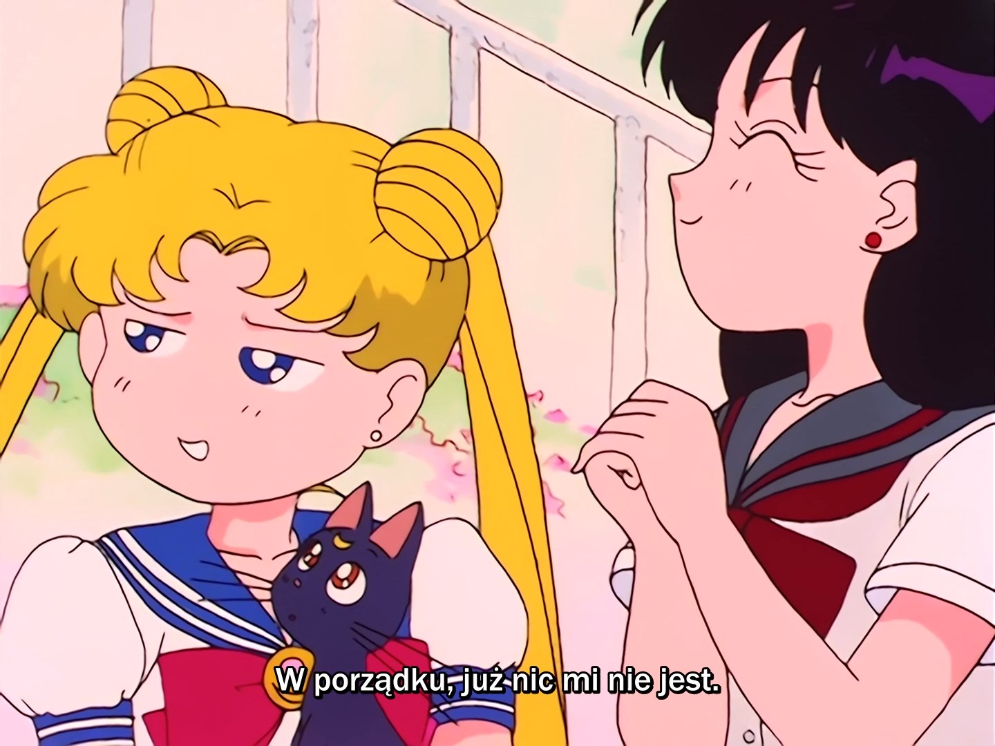 Media - Sailor Moon - seria Sailor Moon HD {Shining Moon}