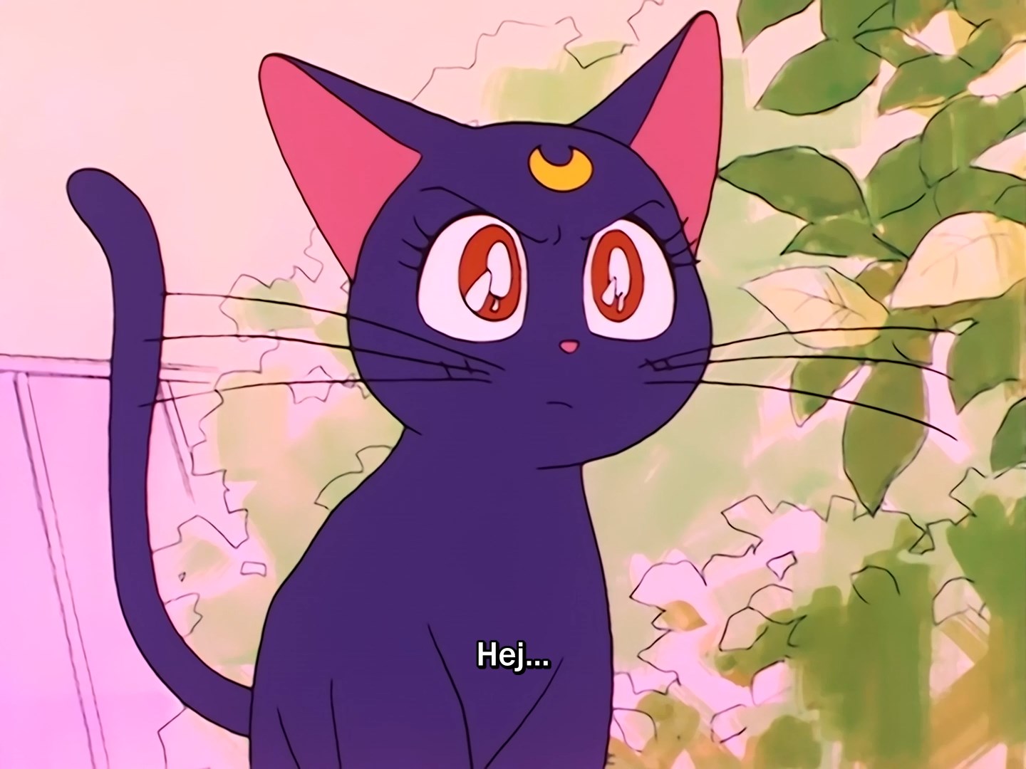 Media - Sailor Moon - seria Sailor Moon HD {Shining Moon}