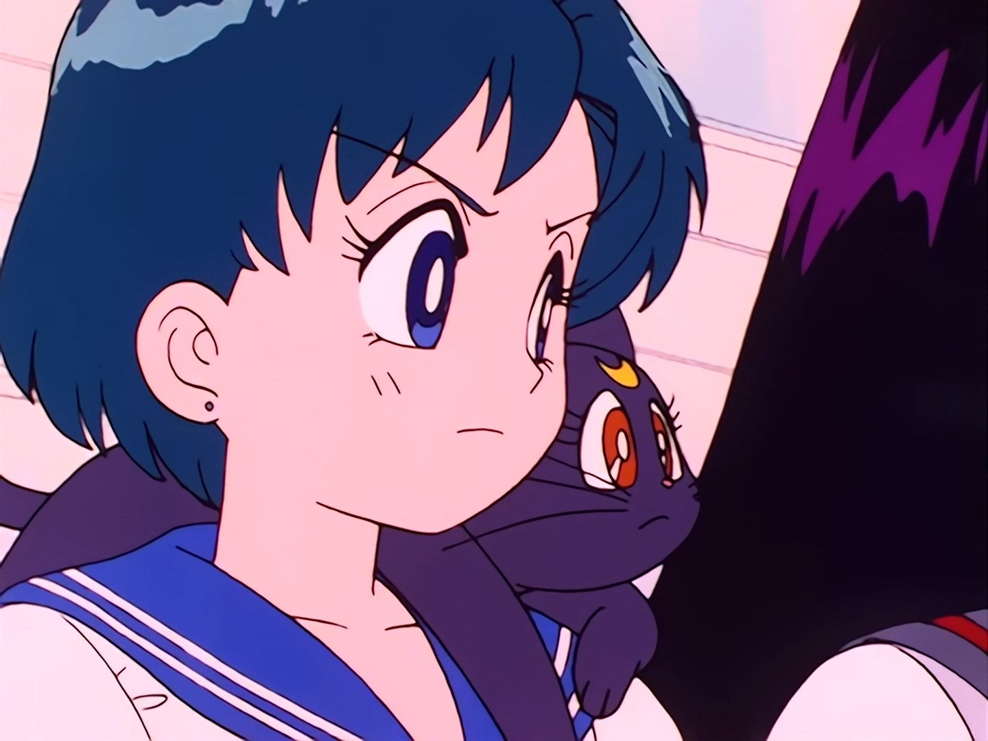 Media - Sailor Moon - seria Sailor Moon HD {Shining Moon}